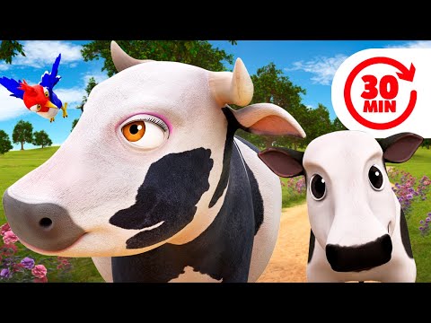 A Vaca Maru vai ter um Bezerrinho e Mais Músicas da Fazenda do Zenon | O Reino Infantil