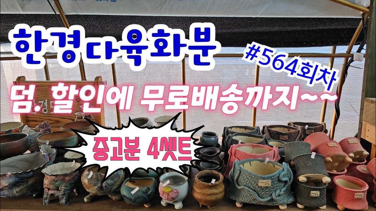 2024년 6월 26일564회차 저녁 영상 한경다육화분 수제공방분 공방분 다육화분 화분 다육이 다육식물 한경