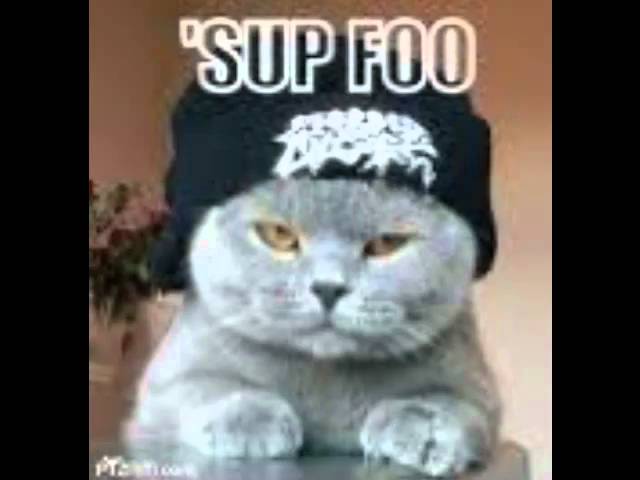Sup Foo Memes Sup Foo | TikTok