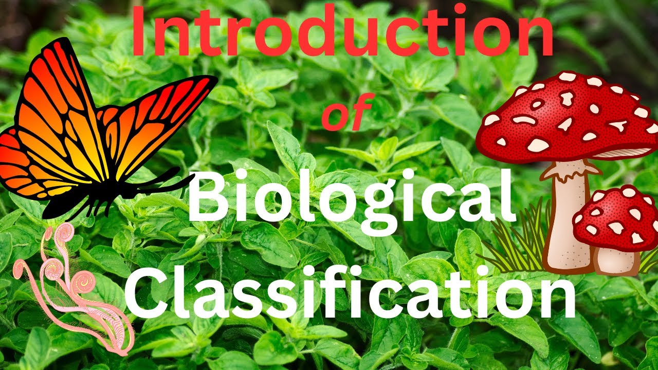 Introduction of Biological Classification - YouTube