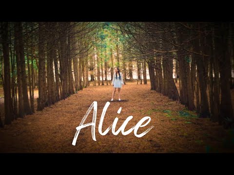 ALICE AU PAYS DES RÊVES - Court-métrage - YouTube