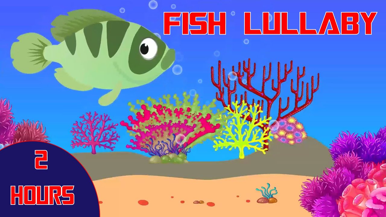 Ocean lullabies for babies. Freshwater aquarium fish. Fish aquarium ...