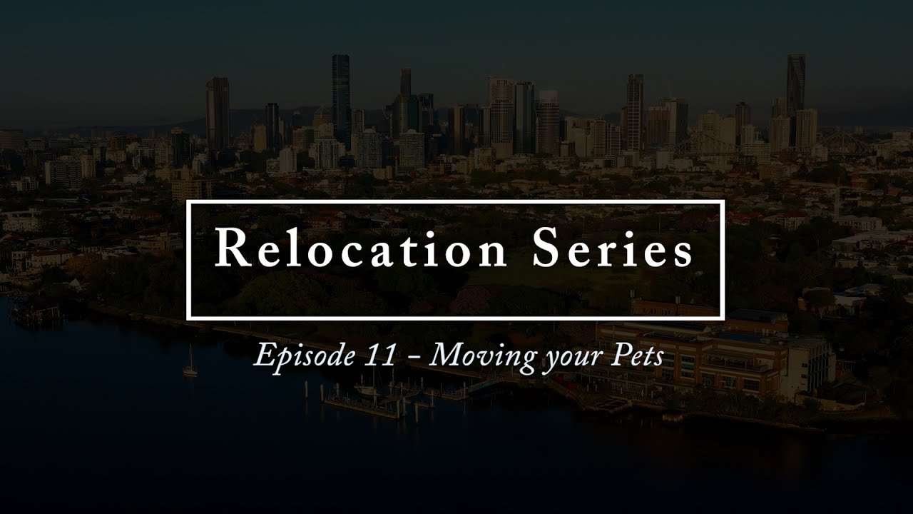 Relocation Series Episode 11 - Moving your pets - YouTube