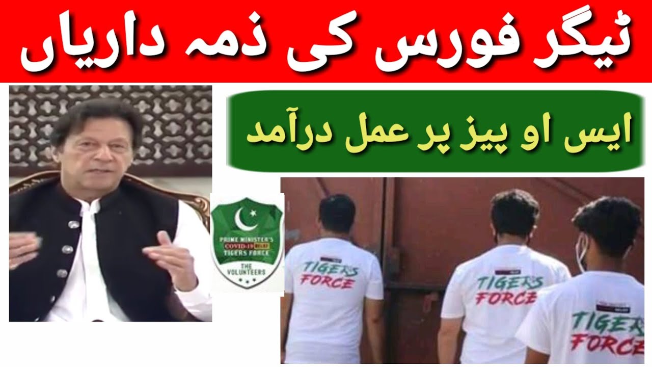 PM Imran Khan Addresses Tiger Force | 05 June 2020 - YouTube