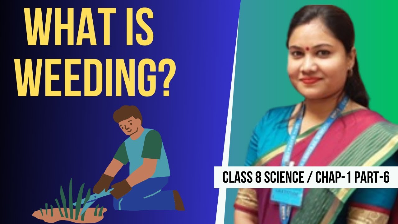 Crop Production and Management | Class 8 Science Chapter 1 | Part 6 ...
