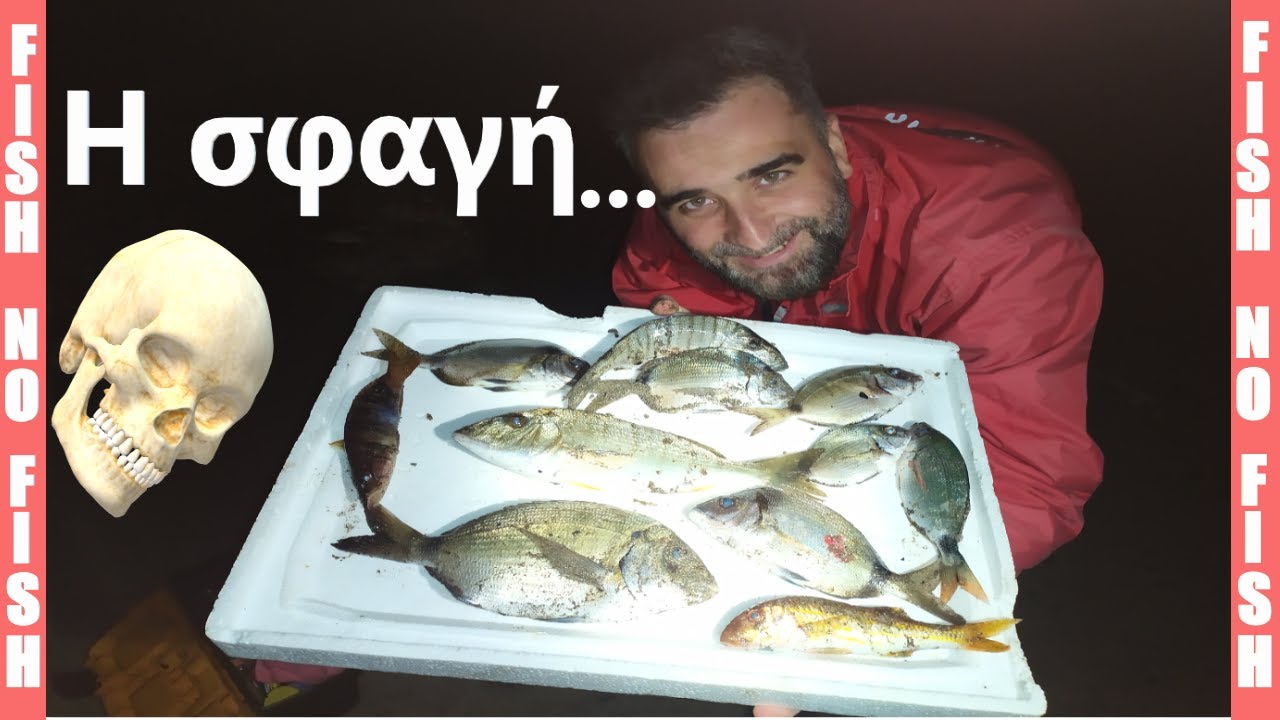 Ψάρεμα με ποικιλία, σαργός μουρμούρα μπαρμπούνι κακαρέλος μελανούρι ...