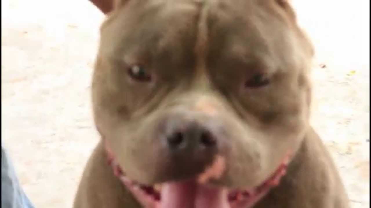 redefined LIL TUNECHI training 2 - YouTube