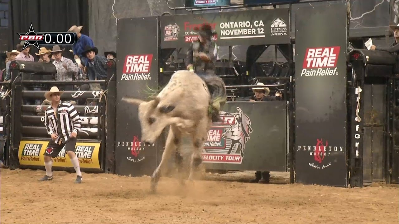 Reese Cates rides Touch of Class for 84.5 points - YouTube