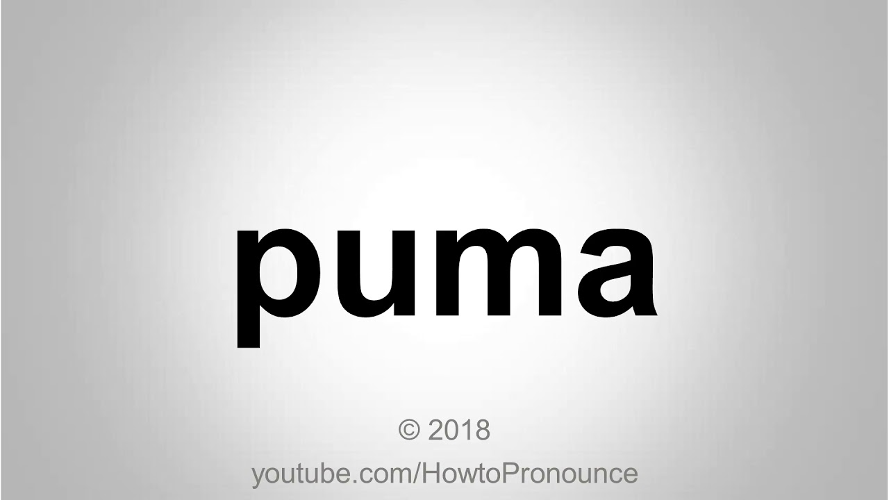 How to Pronounce puma - YouTube