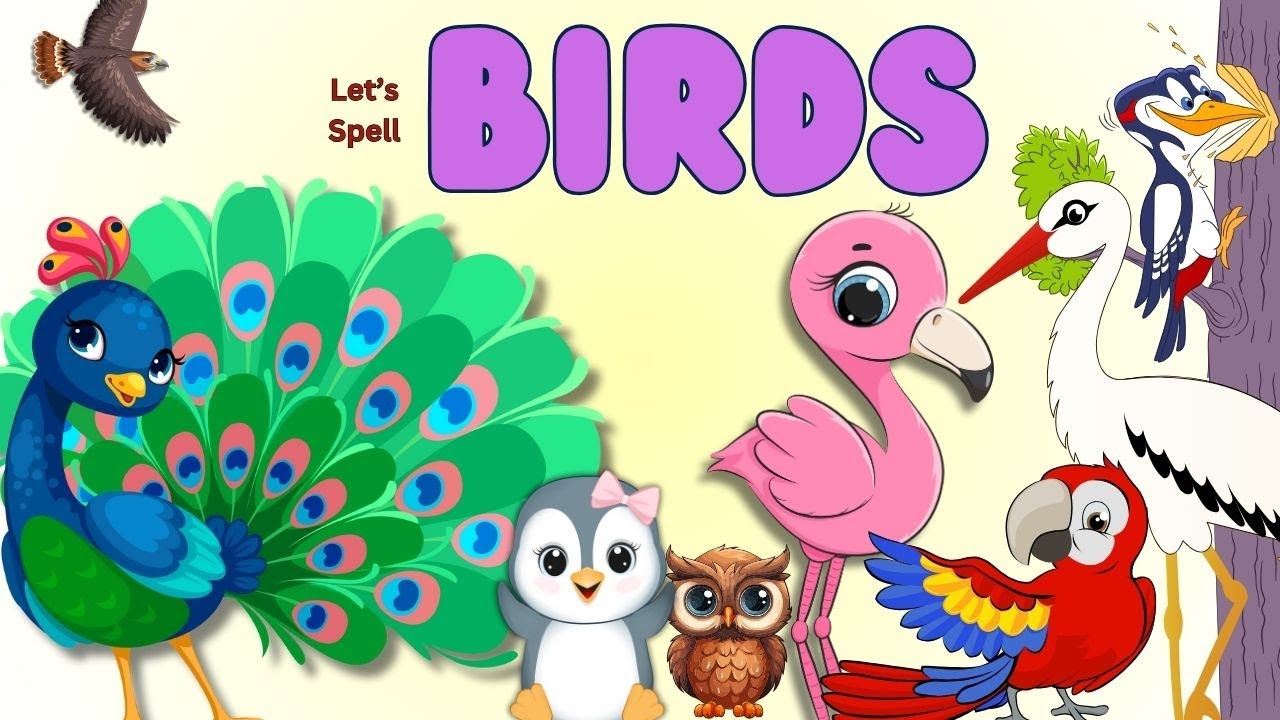 Birds Names | with spell - YouTube