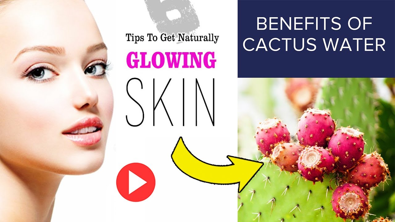 Benefits of Cactus Water: Everything You Need to Know About Cactus ...