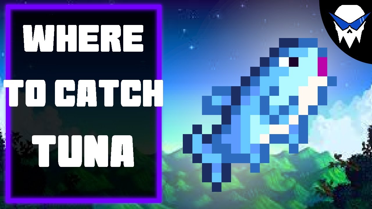 Stardew Valley – How to Catch Tuna (Best Spots & Simple Tips) - YouTube