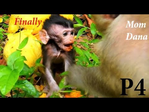 Finally, Mom Dana help her Baby Daniela successfully, Daniela Much get ...