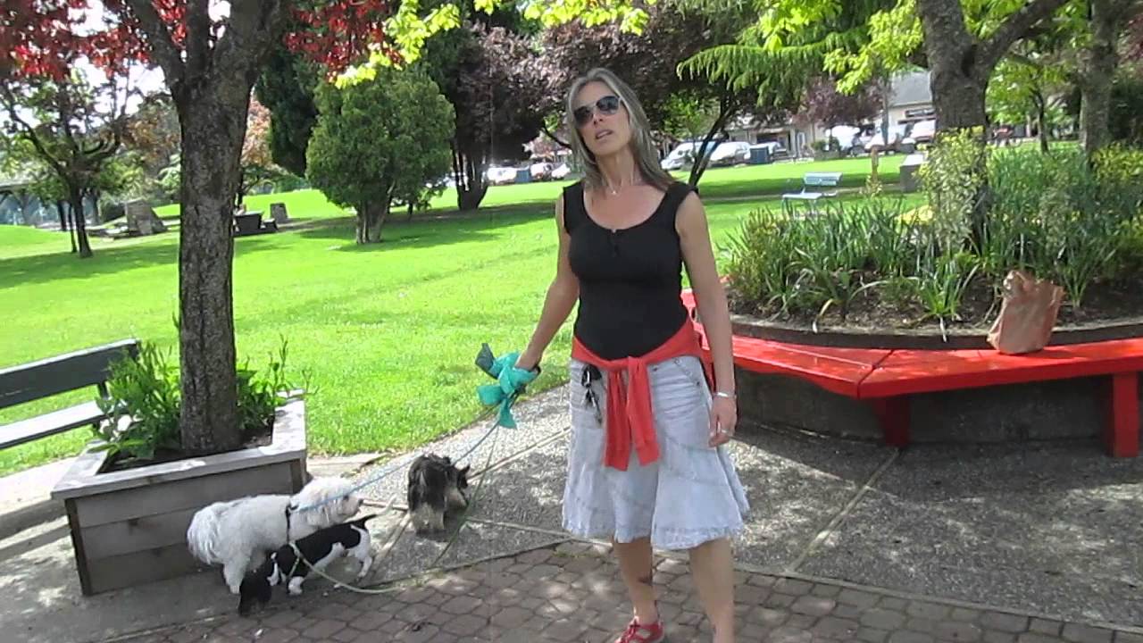 Pretty Dog Walker - YouTube