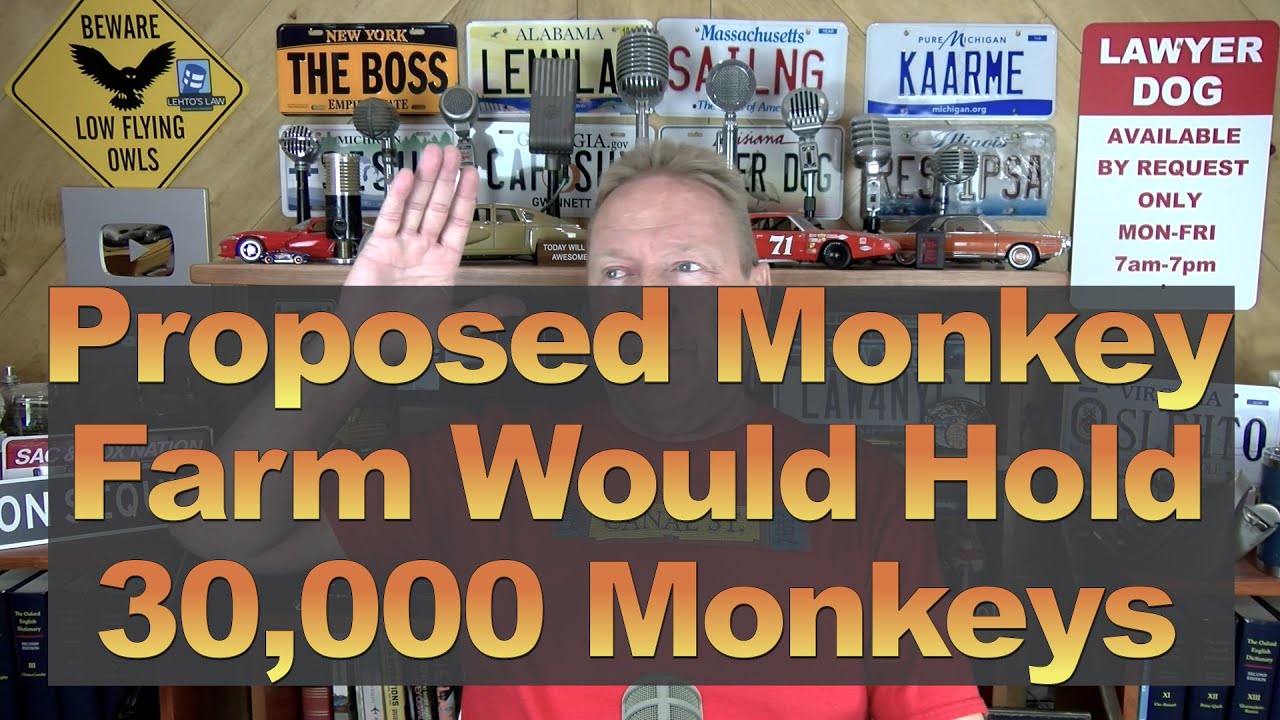 Proposed Monkey Farm Would Hold 30,000 Monkeys - YouTube