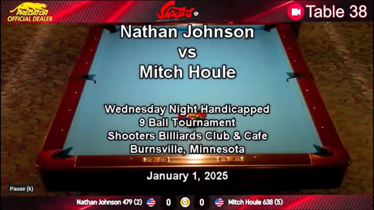 Nathan Johnson vs Mitch Houle - Live Stream Billiards Pool Match # ...