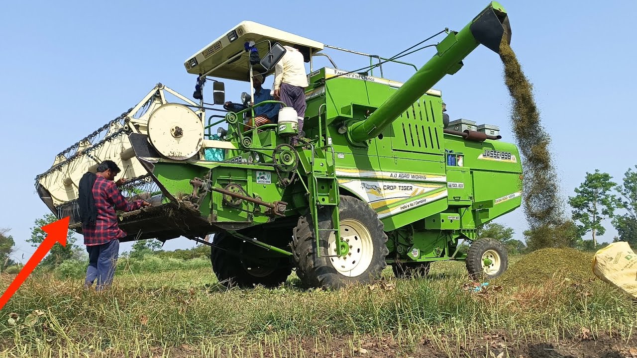 Combine harvester harvesting moog in farm ,Jasse-998/Saggu harvester. 😲 ...