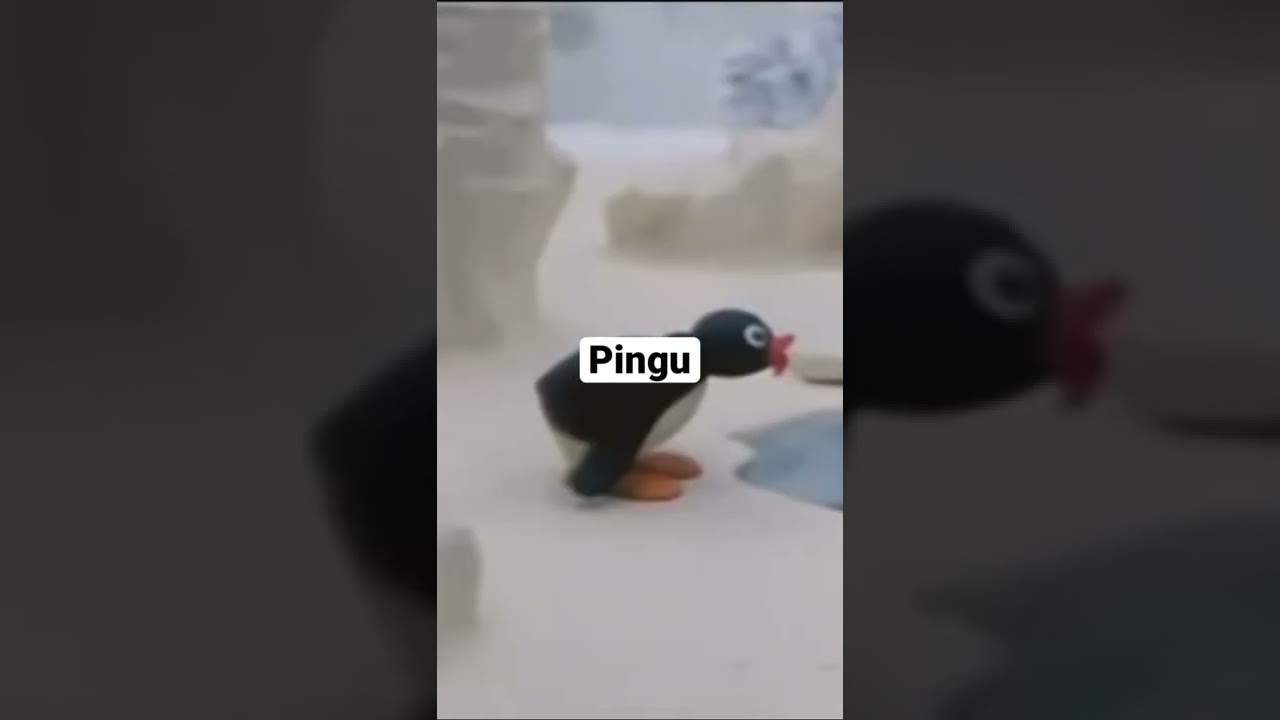 Luke Davidson “NOOOOOO” vs Pingu “NOOOOO” #shorts - YouTube