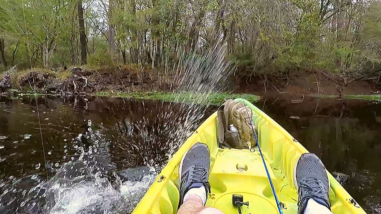 a Really WeiRd Day of Kayak fishing in Florida - YouTube