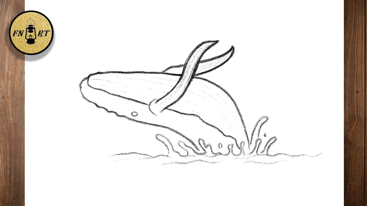 How to draw a humpback whale breaching - YouTube
