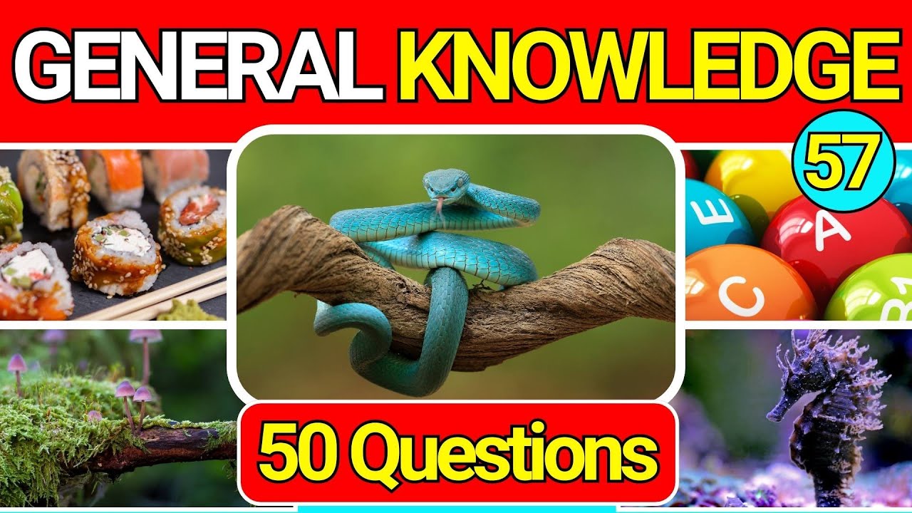 General Knowledge Quiz Trivia 57 📚💡| Can You Answer All 50 Questions ...