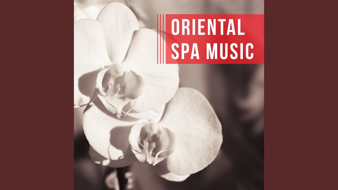 Gentle Background Music - YouTube