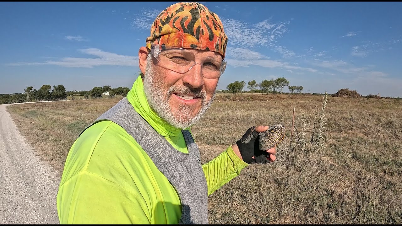 Aaron Smith Saves Ornate Box Turtle from certain death in Gainesville ...