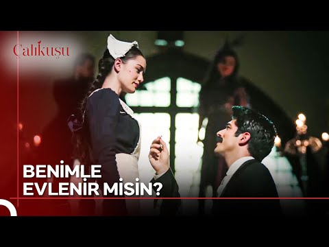 İnan Hiç Beklemediğin Anda Oluyor Kuzum | Çalıkuşu