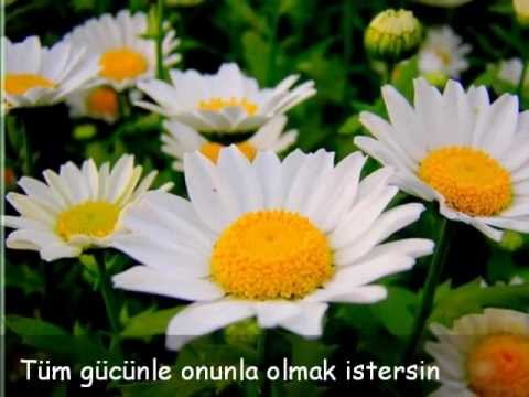 d.günü.wmv