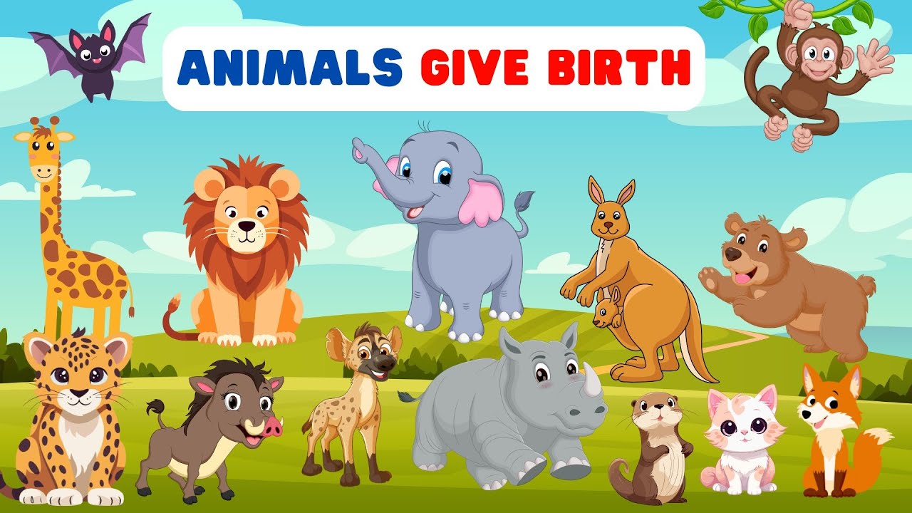 Baby Animals: Learning About Mammals That Give Birth! - YouTube