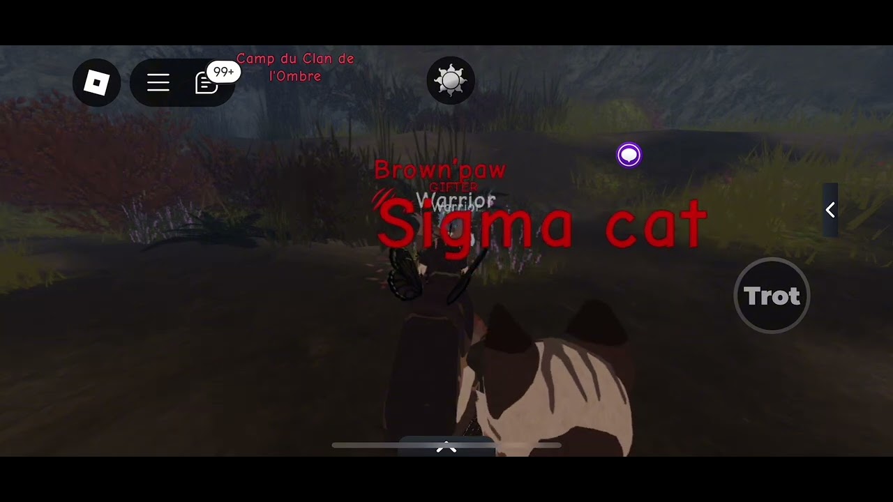 Types of players in Wcue!^^#Mellowbear - YouTube