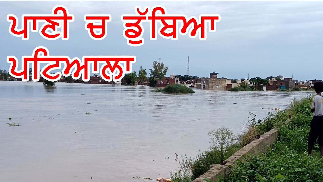 Patiala Nadi current Position, Patiala City Flood, Chaura, Urban Estate ...