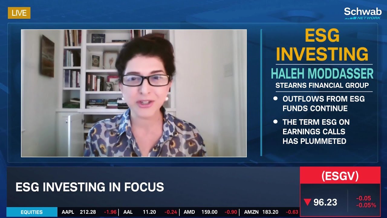 ESG Investing Backlash, Investors Still Want Sustainability - YouTube