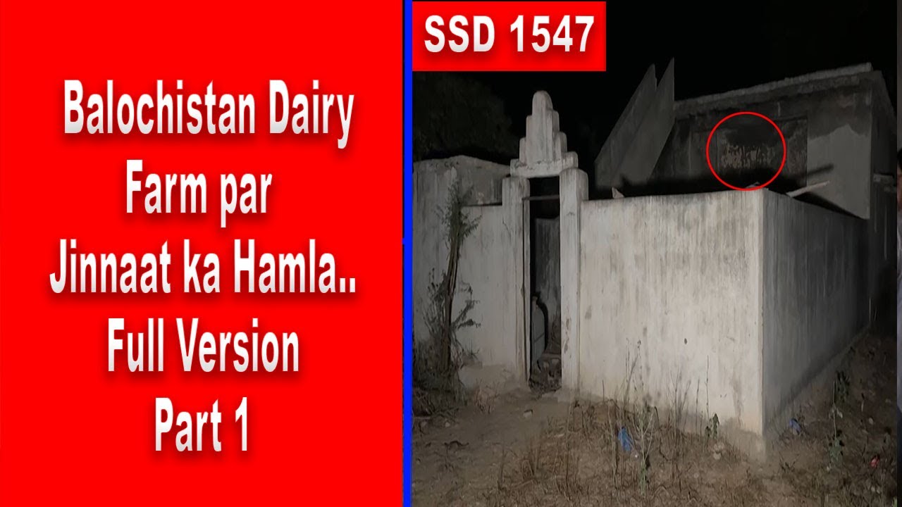 SSD 1547 | Balochistan Dairy Farm par Jinnaat ka Hamla..Full Version ...