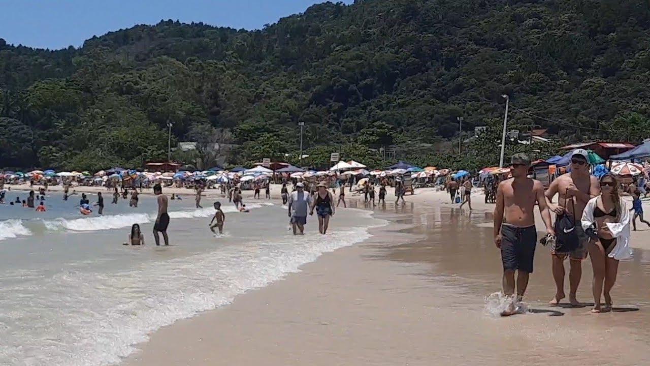 PRAIA DA DANIELA, FLORIANÓPOLIS - SANTA CATARINA. - YouTube