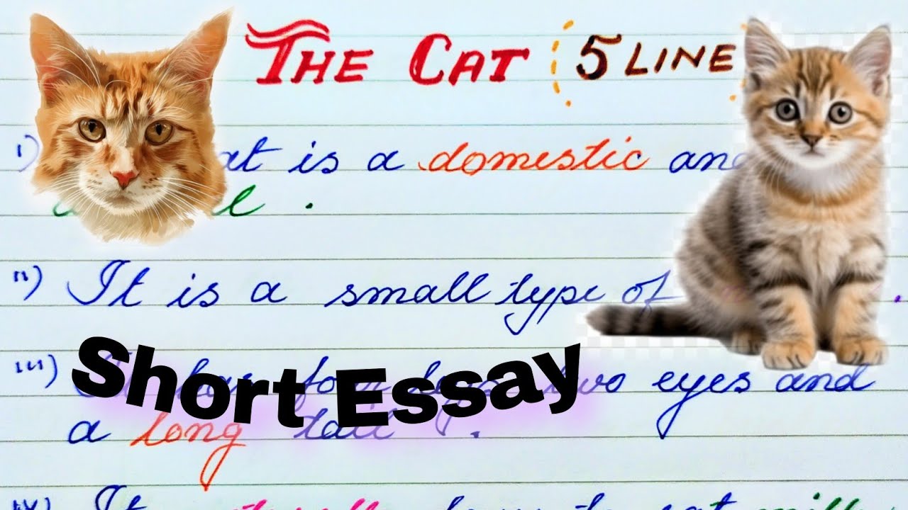 5 lines on cat in english | cat essay in english/essay on pet animal ...