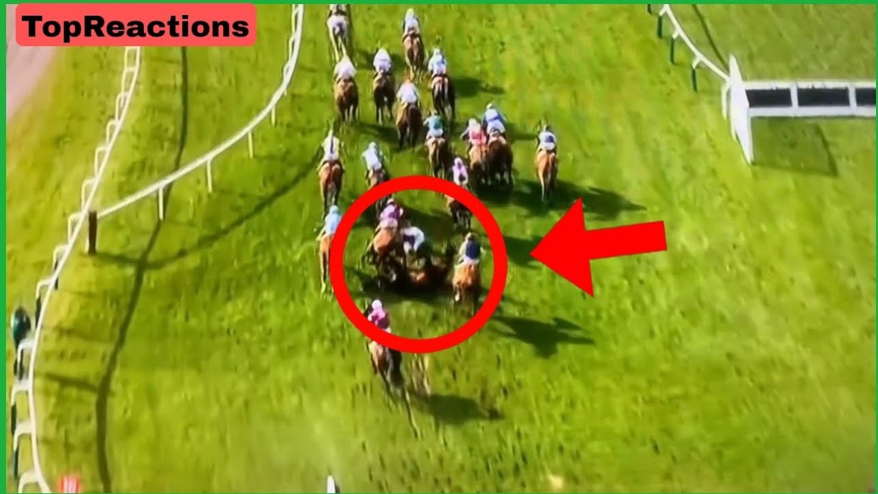😢 Cheltenham Festival Tragedy 🔴 Springwell Bay Dies After Heavy Fall 💔 ...
