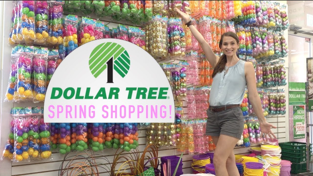 Drama at The Dollar Tree! Spring Shop With Me! All the New Spring ...