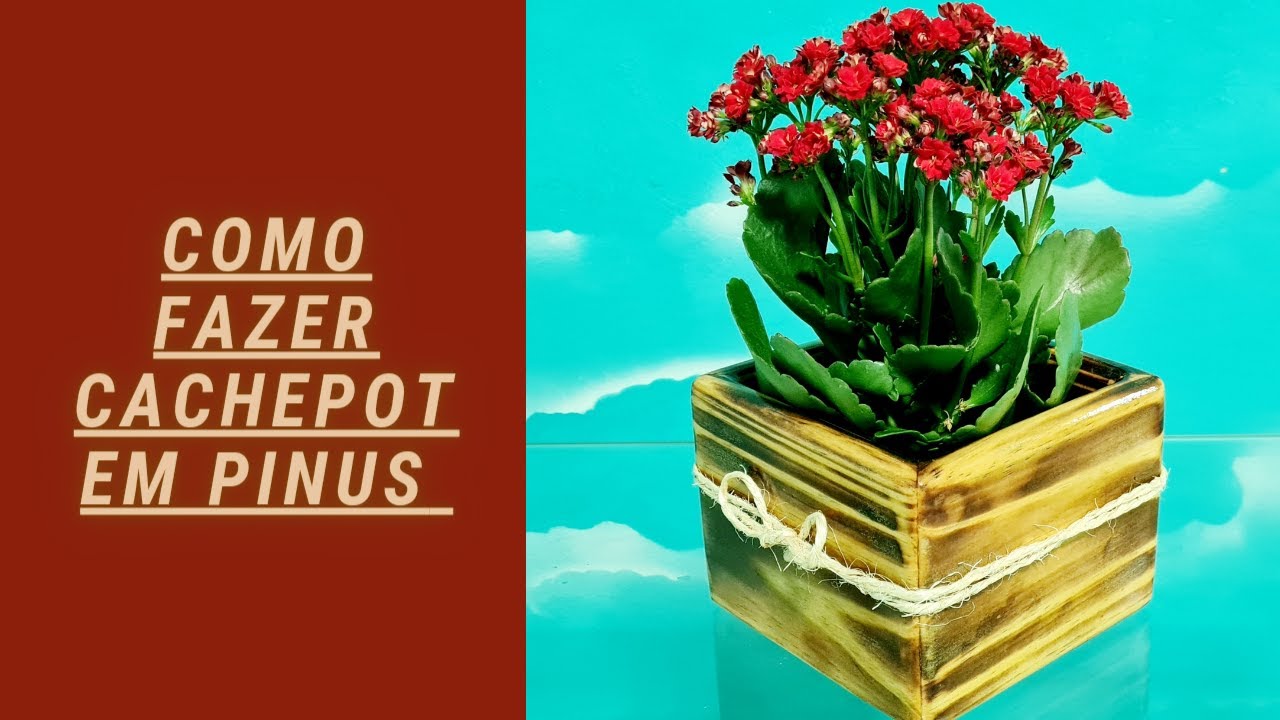 Como fazer cachepot de pinus? - YouTube