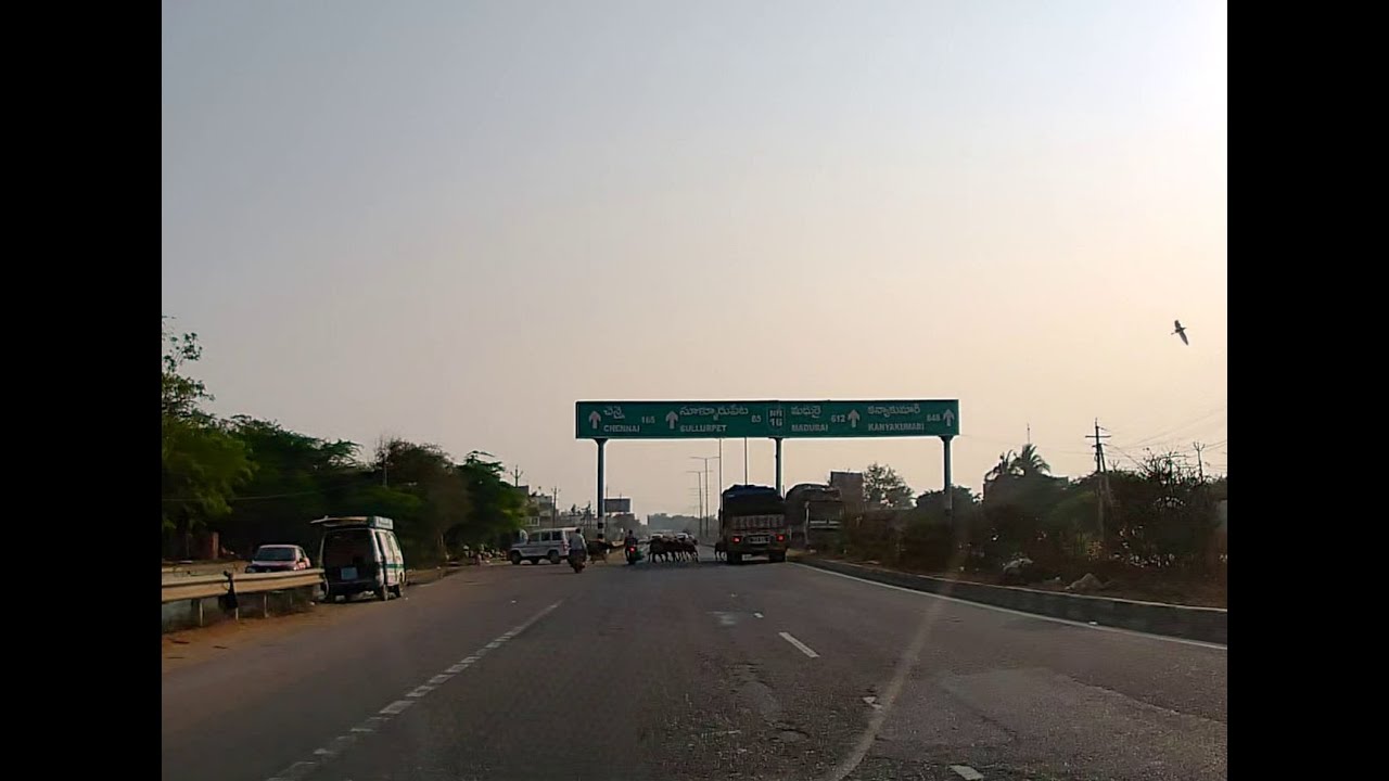 Buffalo Hit on NH 16 - YouTube