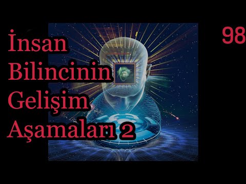 İnsan Bilincinin Gelişim Aşamaları (Spiral Dynamics) 2. Bölüm