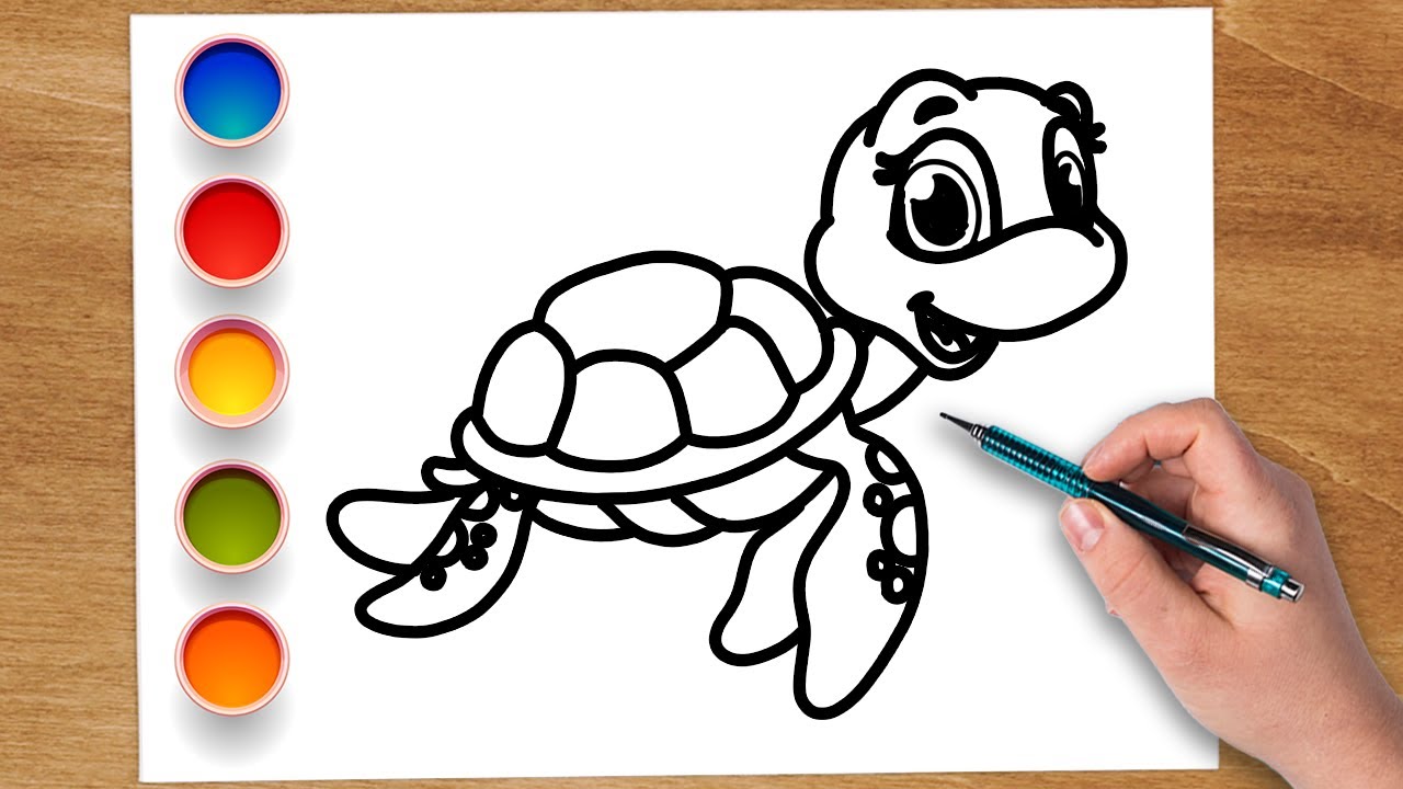 How to draw a turtle step by step - YouTube