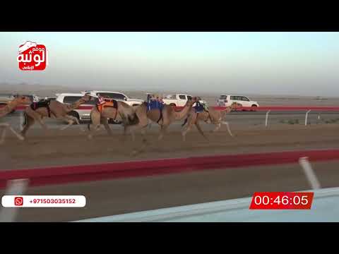 al wagan 5 - YouTube