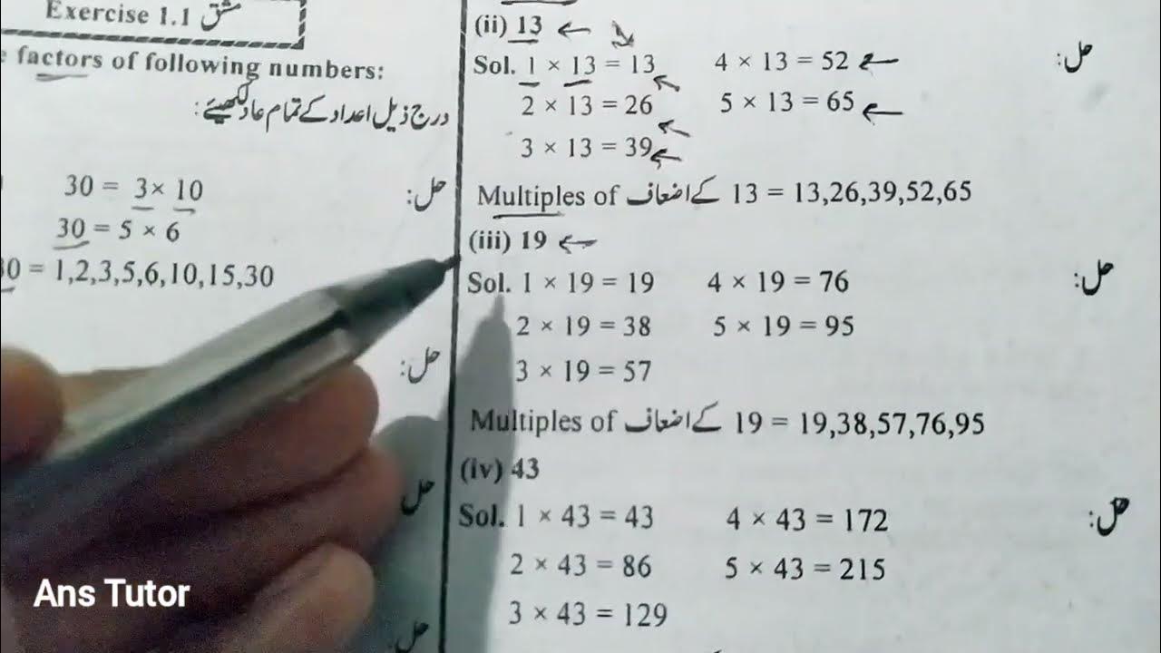 Prime Numbers & Write First Five Multiples of Numbers | How to Find ...