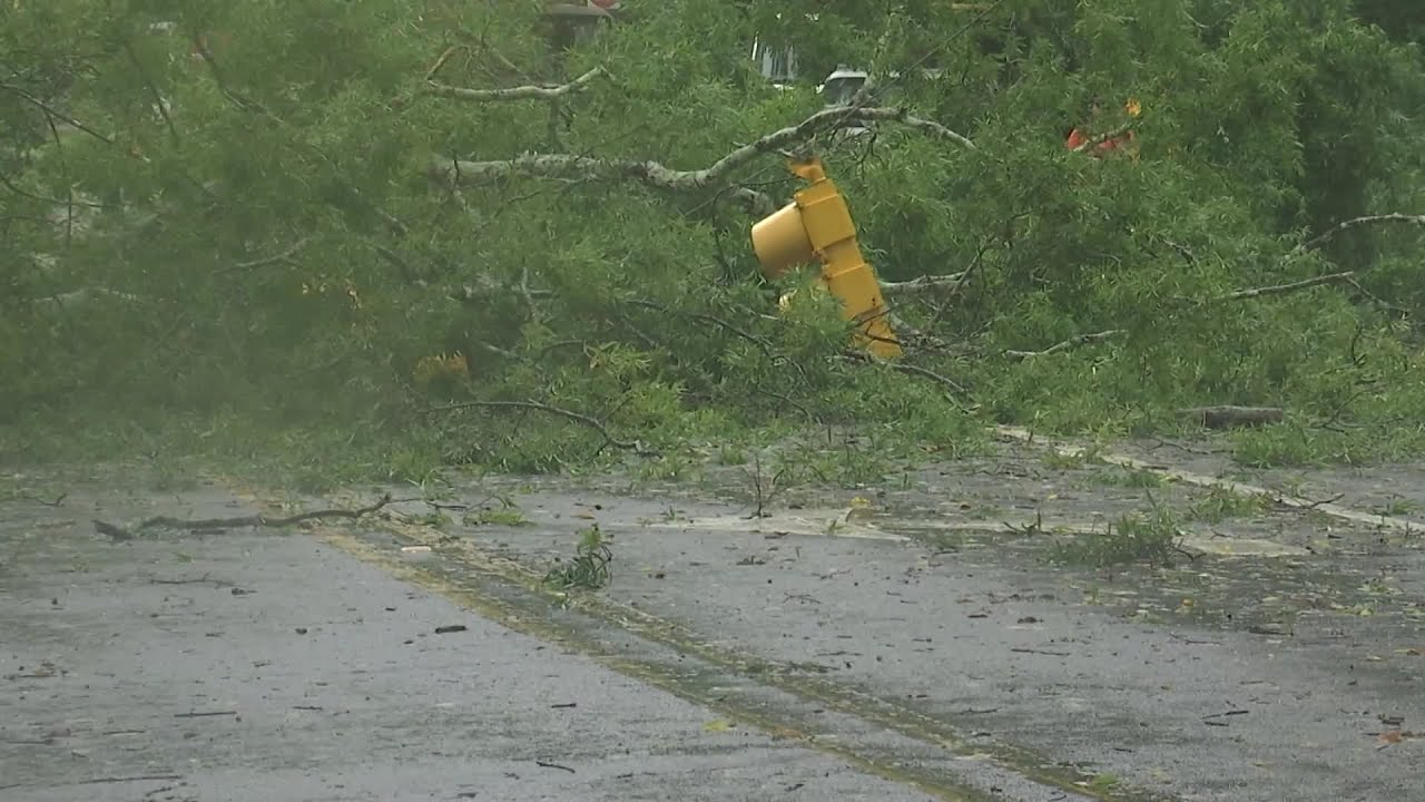 Tree takes down power lines, blocking Homewood intersection (2) - YouTube