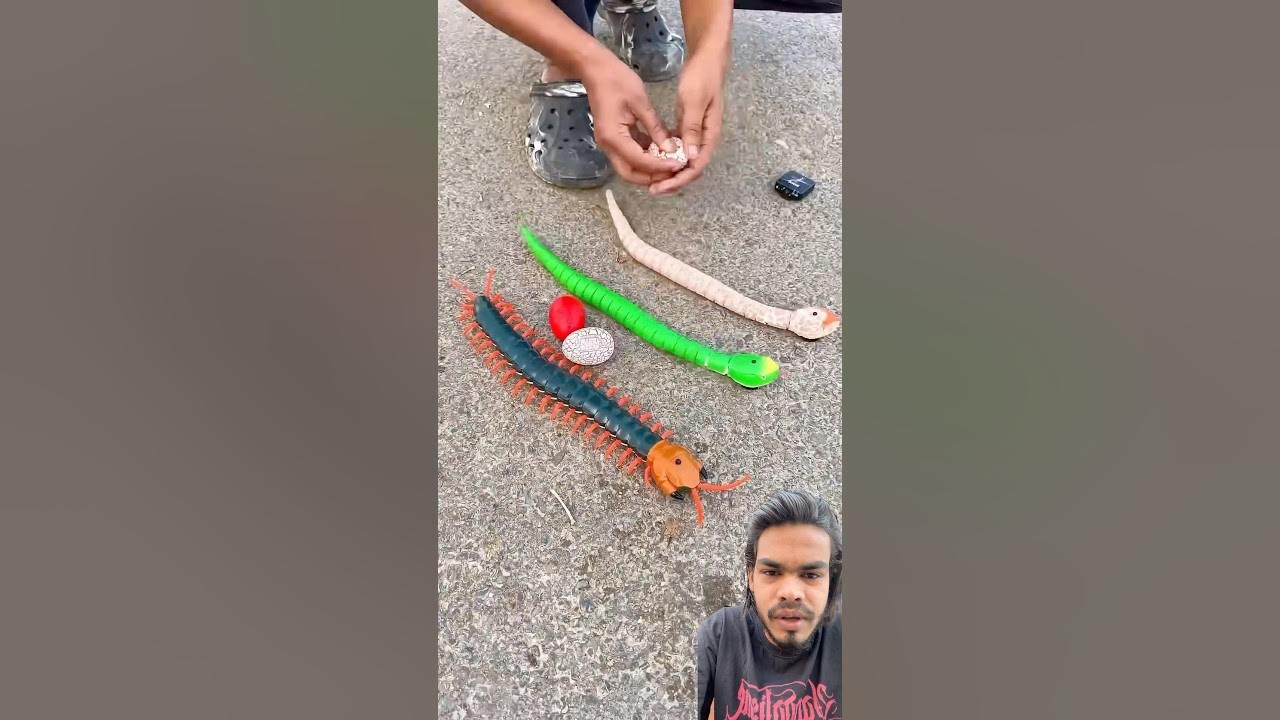 Remote control snakes #rcsnake #snake #experiment #toys #ruhulshorts # ...