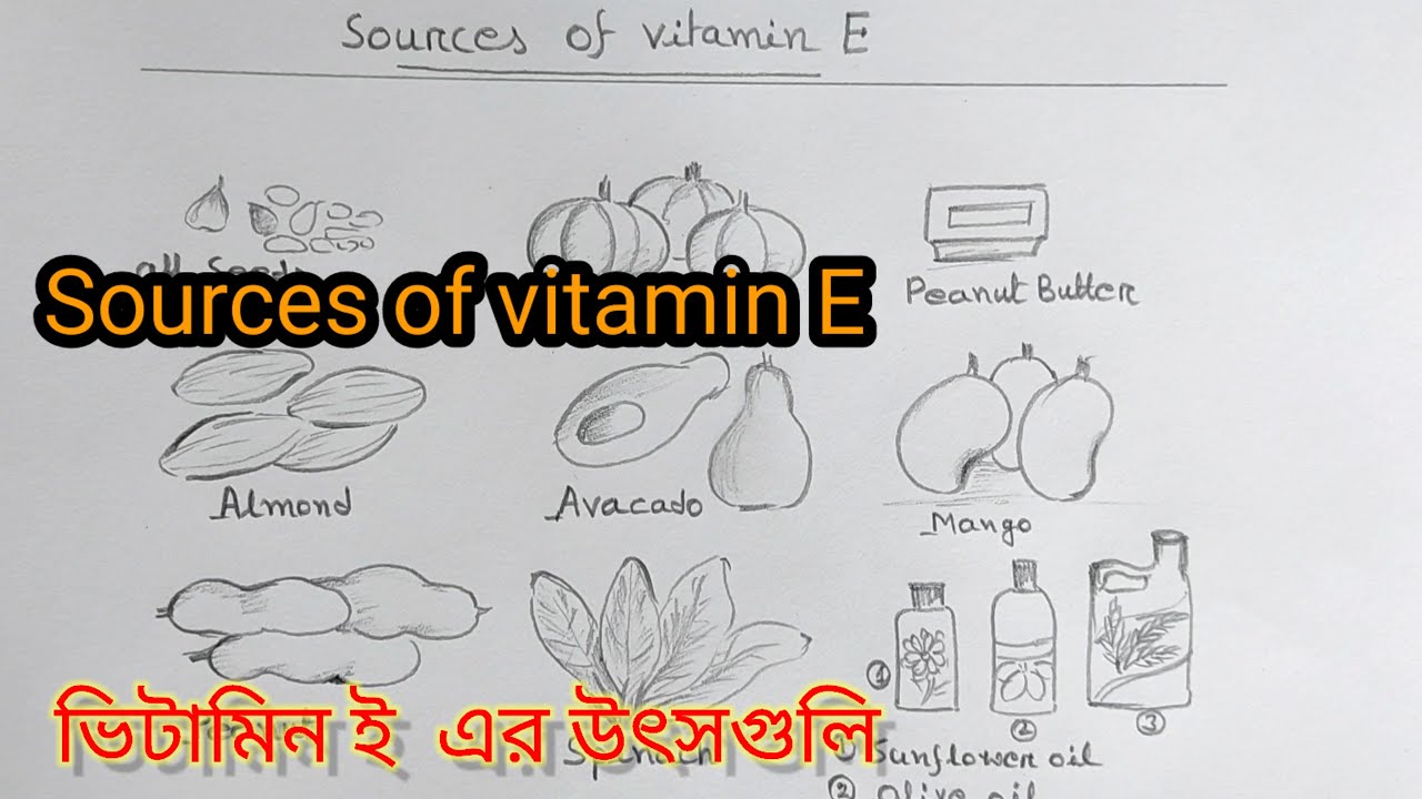 Sources of vitamin E drawing/food that are full of vitamin E/ভিটামিন ই ...
