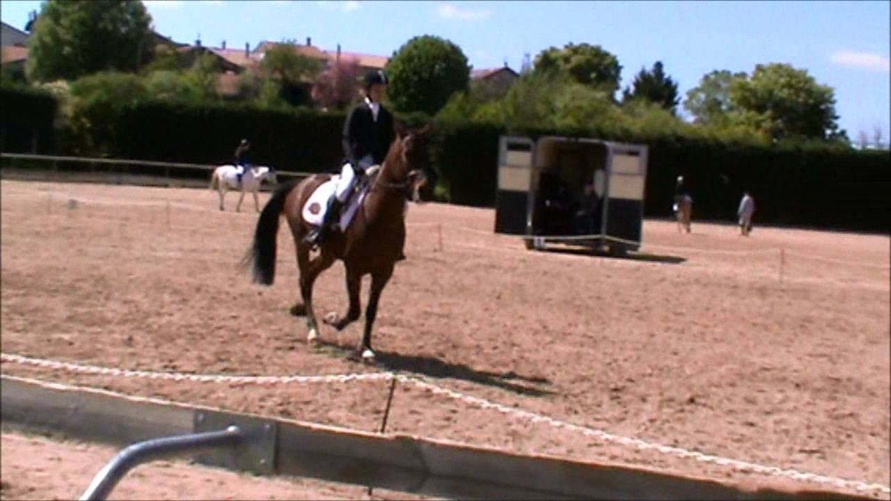 poney 1 grand prix : premier avec 69.35% - YouTube