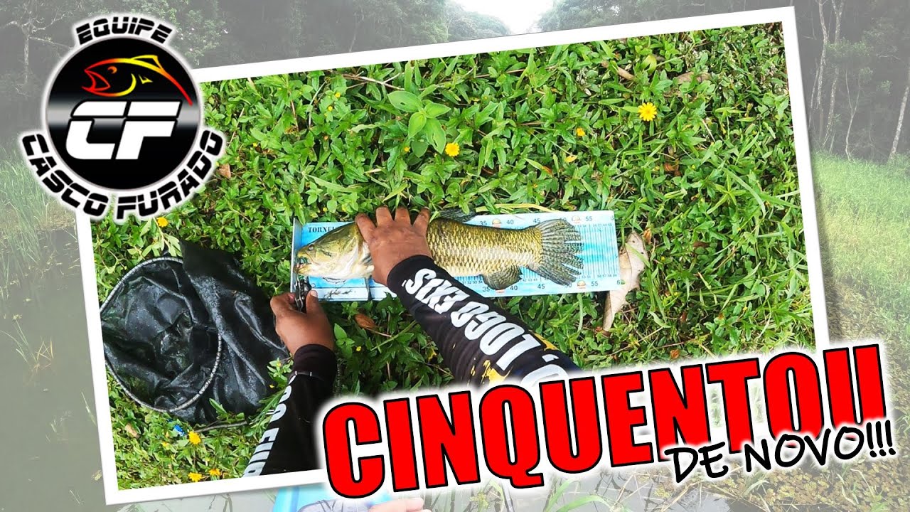 CAMPO MINADO DE TRAÍRA 💣💥 - YouTube