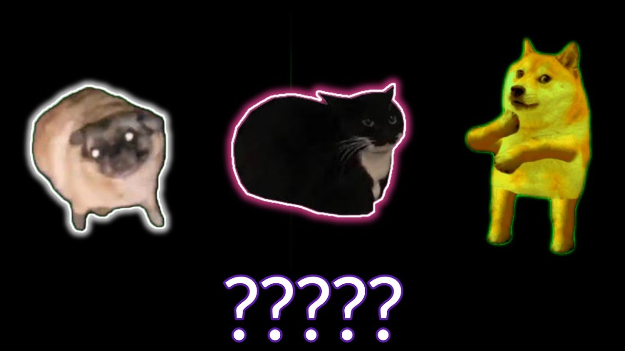 7 Maxwell The Cat and Pug and Doge Dancing Sound Variations In 53 ...
